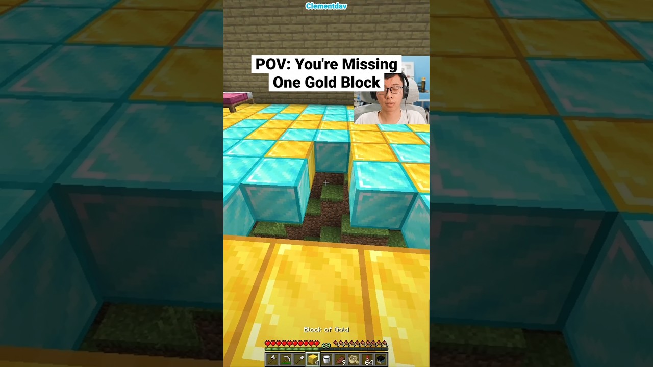 Minecraft POV: You're Missing One Gold Block (Clementdav Vibe ...