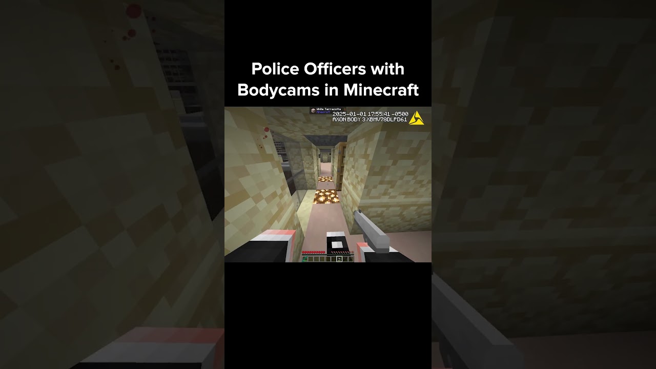 Minecraft Police Moment - Minecraft videos