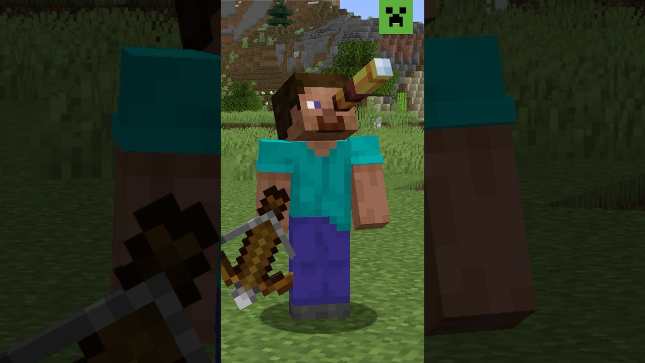 REMEMBER THESE MINECRAFT BUGS? - Minecraft videos