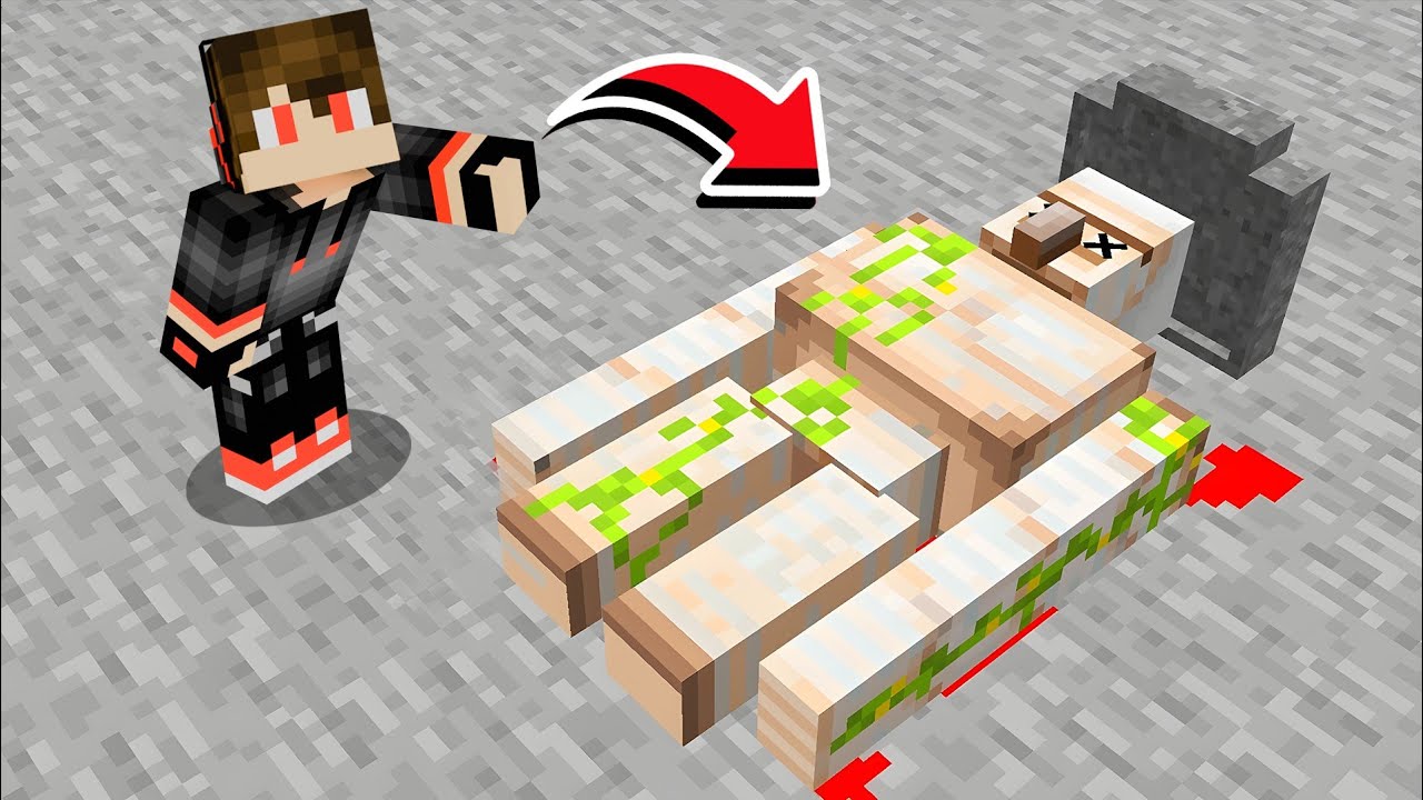 Where Dead Minecraft Mobs Go When Die? - Minecraft videos